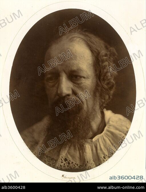 Cameron Alfred's Instagram, Twitter & Facebook on IDCrawl