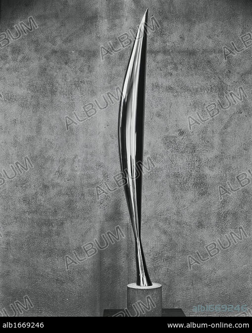 Constantin Brancusi Bird In Space
