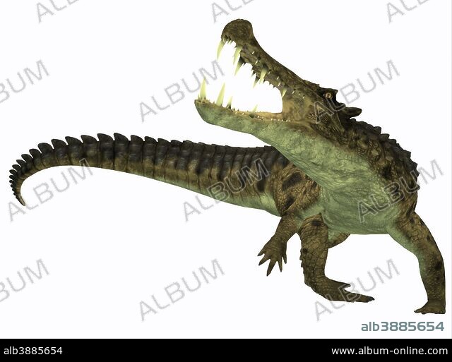 Kaprosuchus Size Kaprosuchus Wikiwand