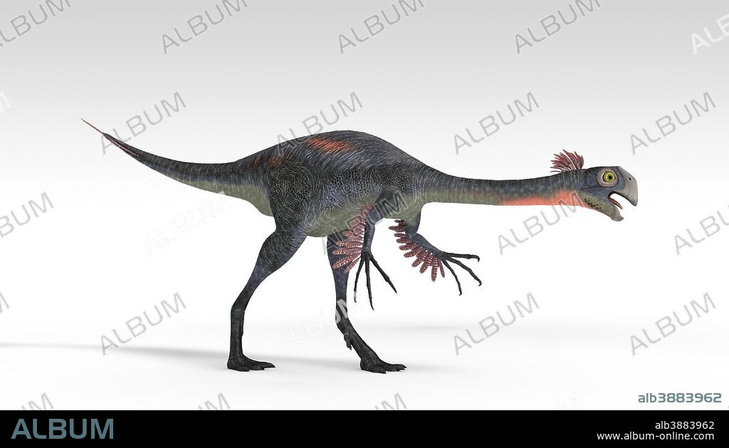 Gigantoraptor Erlianensis Size