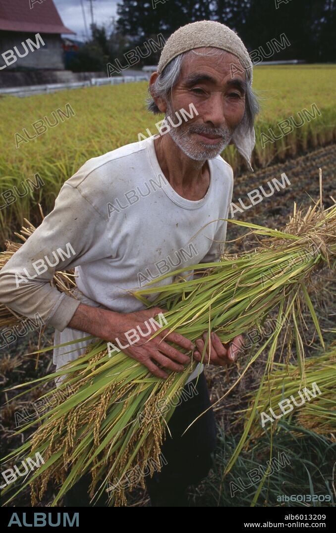 Rice Field Worker