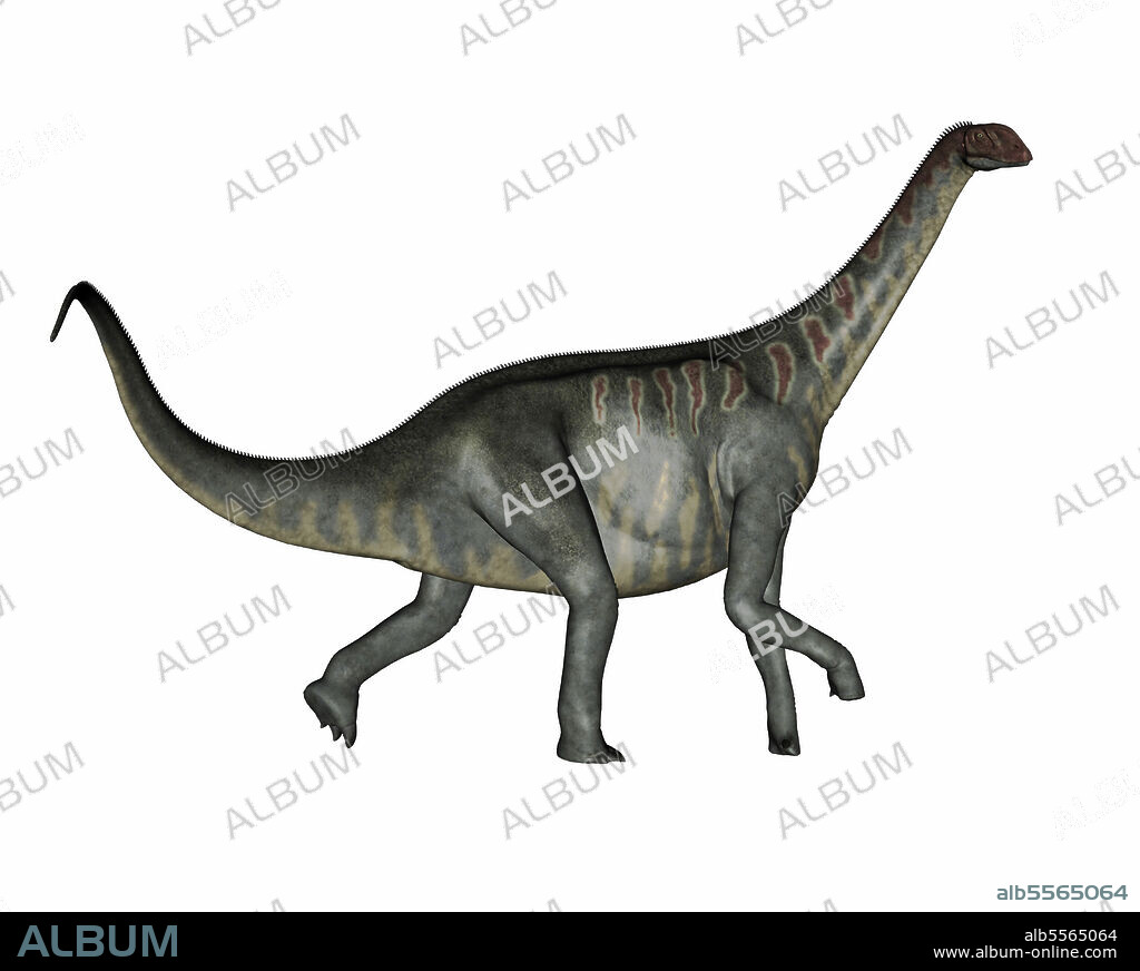 Jobaria Dinosaur