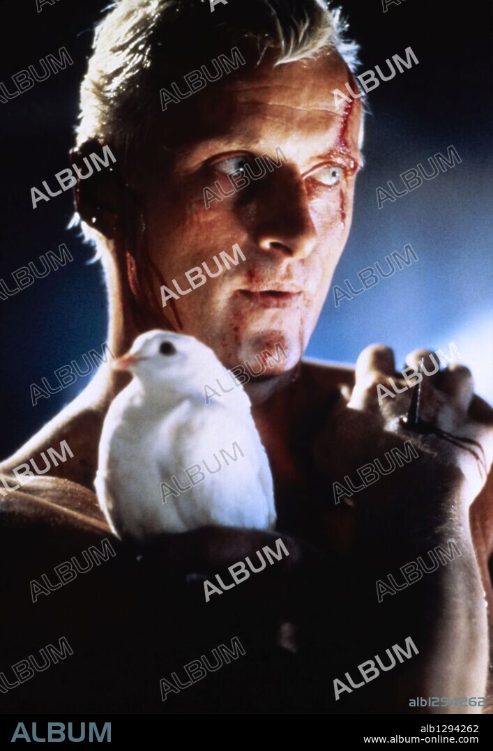 Blade Runner Rutger Hauer Dove 19 Movie Shoots Ideas | Blade Runner,