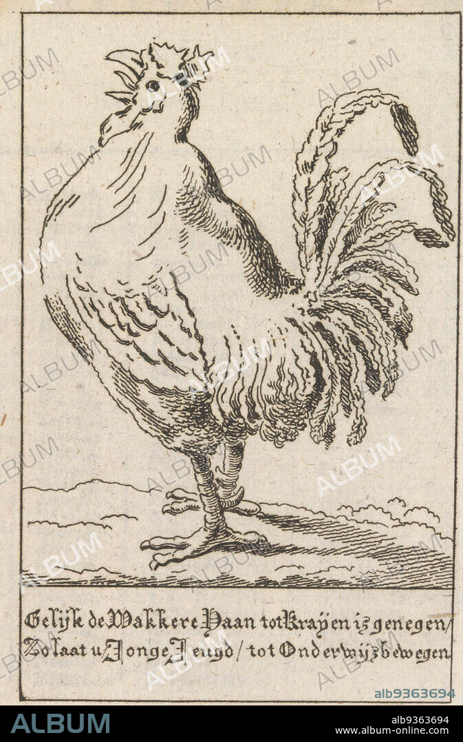 Rooster Crowing Drawing