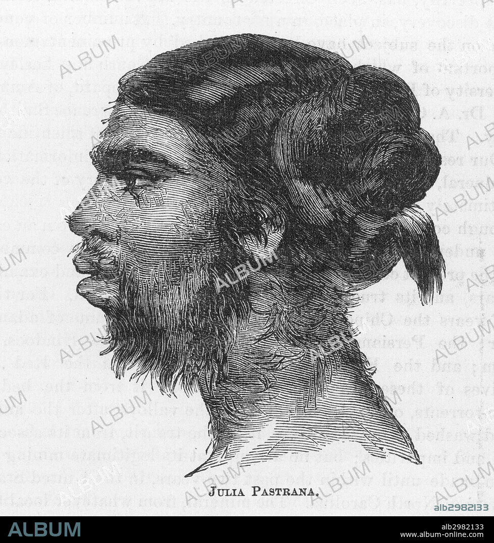 Bearded Lady Drawing