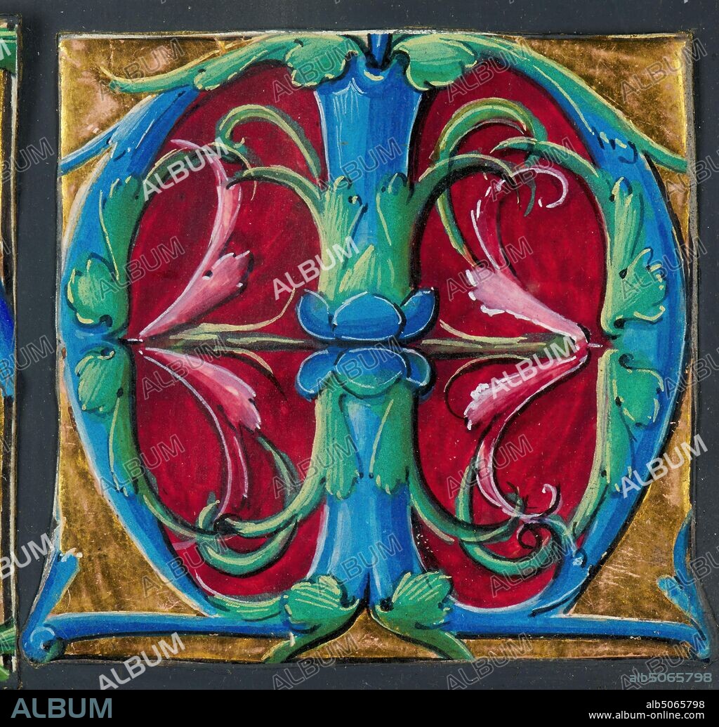 Illuminated Manuscripts Letter M
