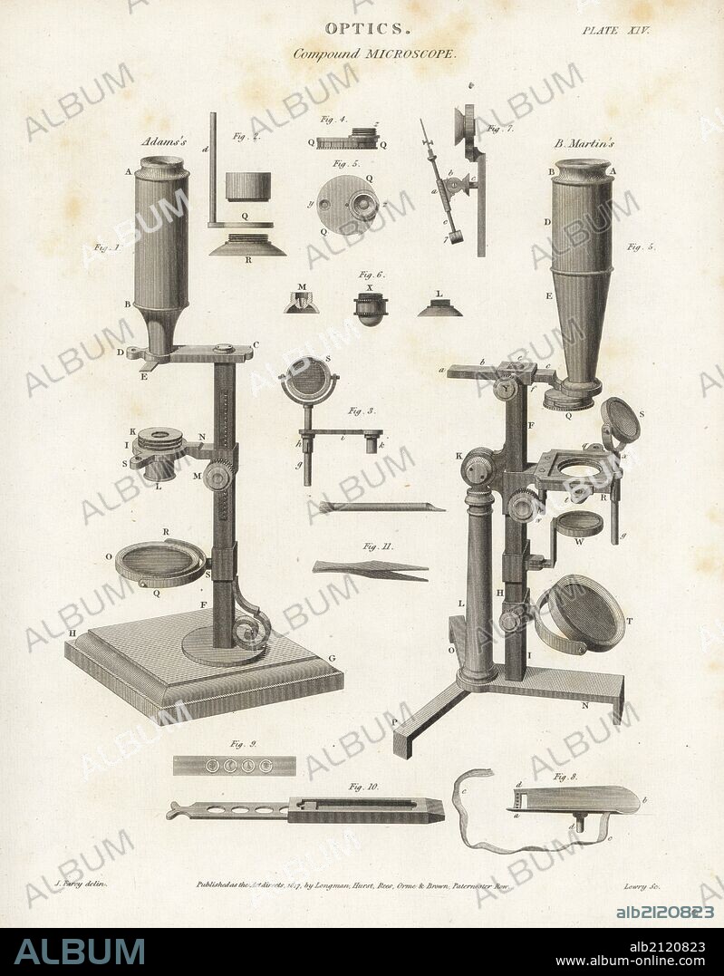 Compound Microscope Drawing