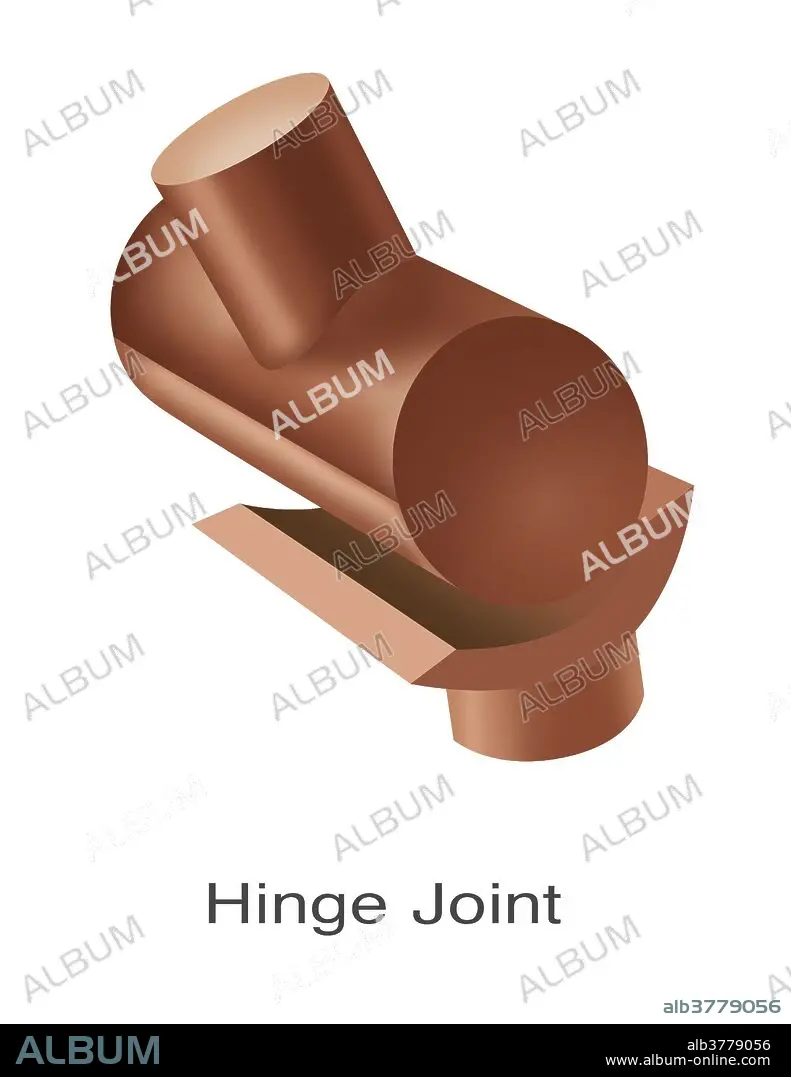 Hinge Joint Model